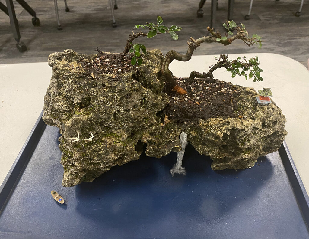 The Art of Saikei and Penjing - Tallahassee Bonsai Society
